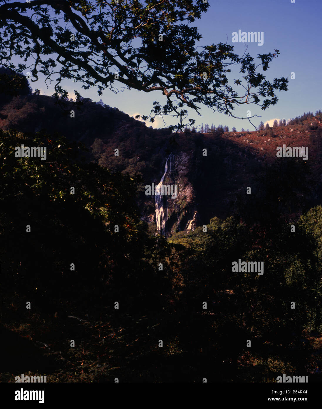 Dargle hi-res stock photography and images - Alamy