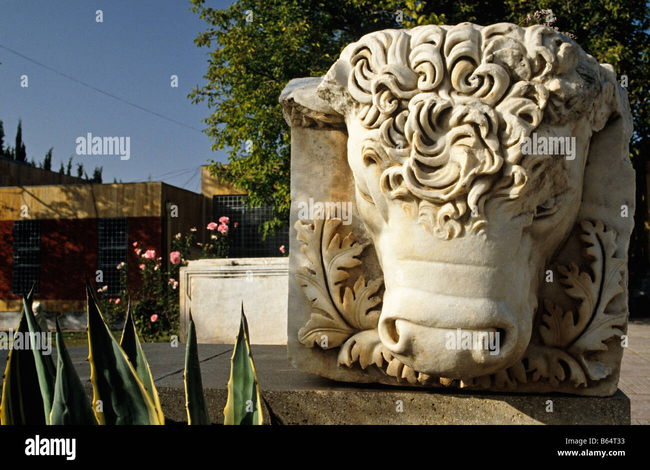 Hellenistic Marble Bull Turkey Stock Photo - Alamy