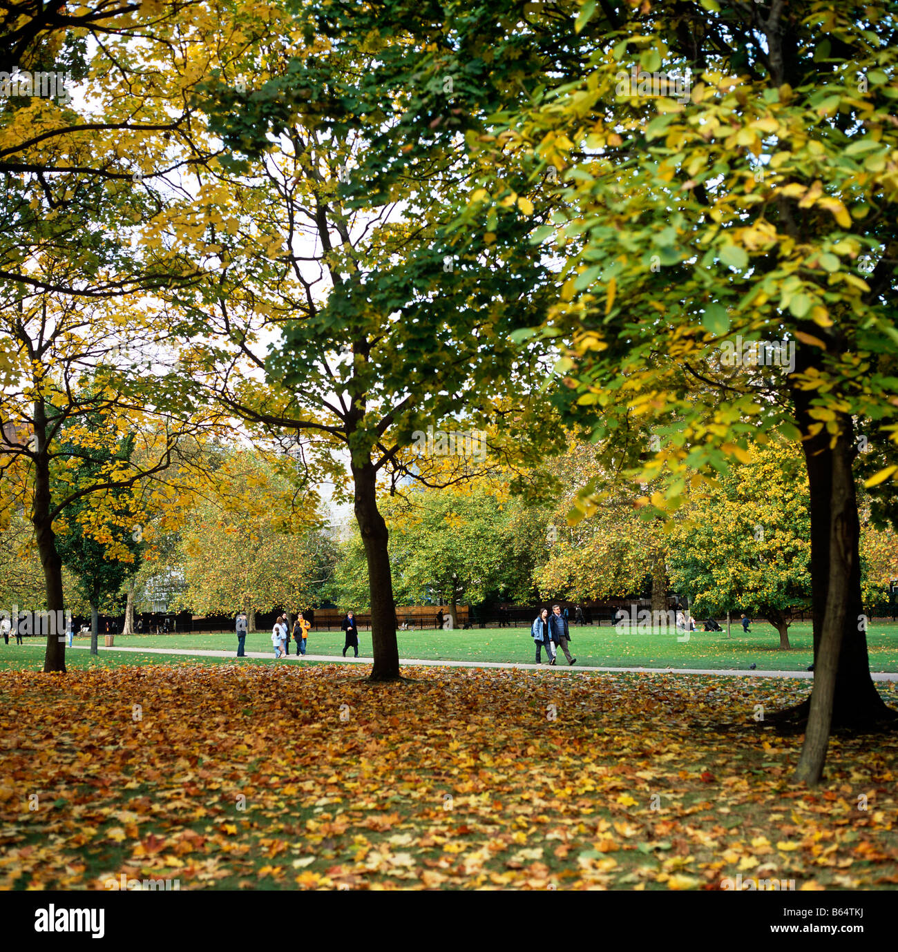 Uk leaves europe hi-res stock photography and images - Alamy