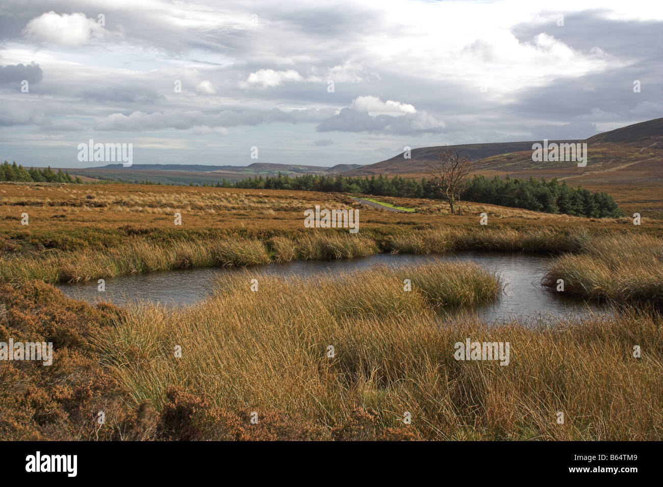 Hawnby moor hi-res stock photography and images - Alamy