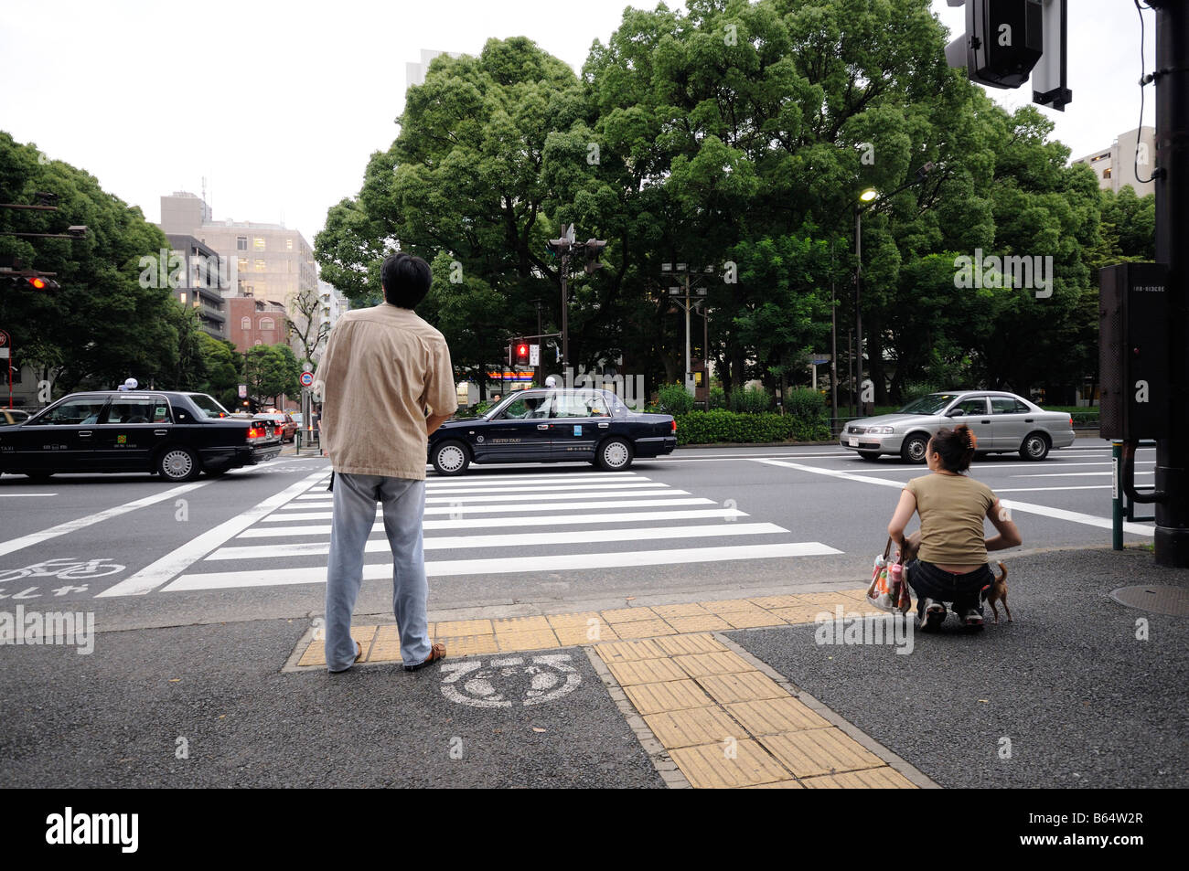 Zebra crossing in front of Zojoji Temple. Minato-ku district. Tokyo ...