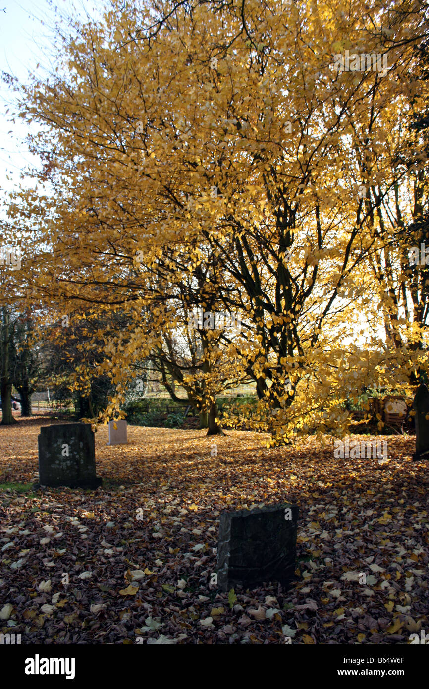 The Grave yard of Scampton Church, Lincolnshire Stock Photo - Alamy