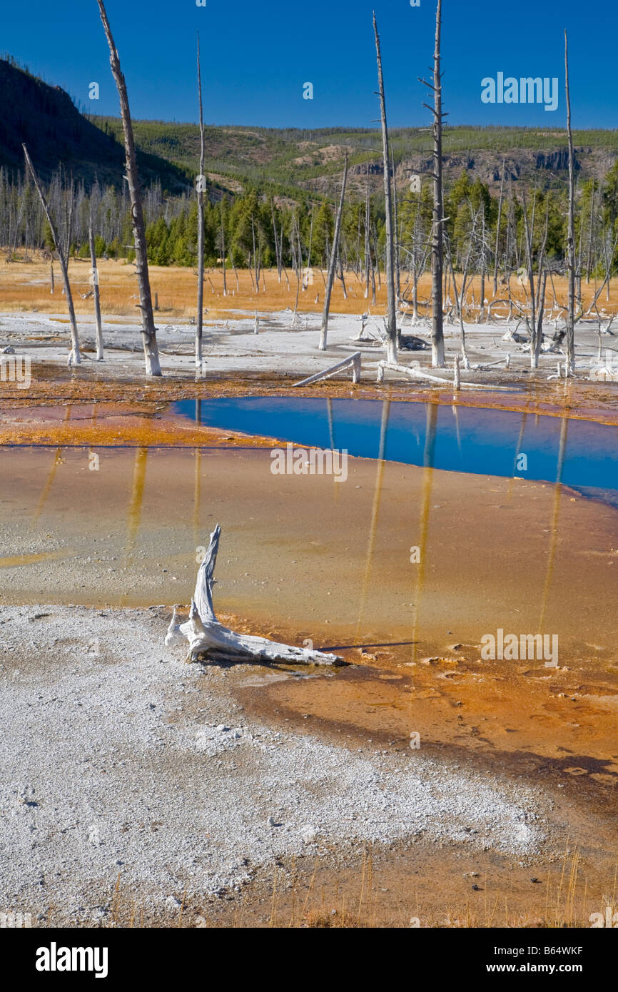 Yellowstone National Park WY: Colors of Sapphire Pool near the Upper ...
