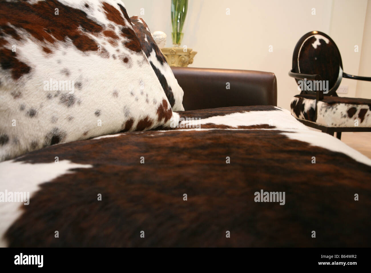 a cow skin leather sofa suit in a room inside a house Stock Photo - Alamy