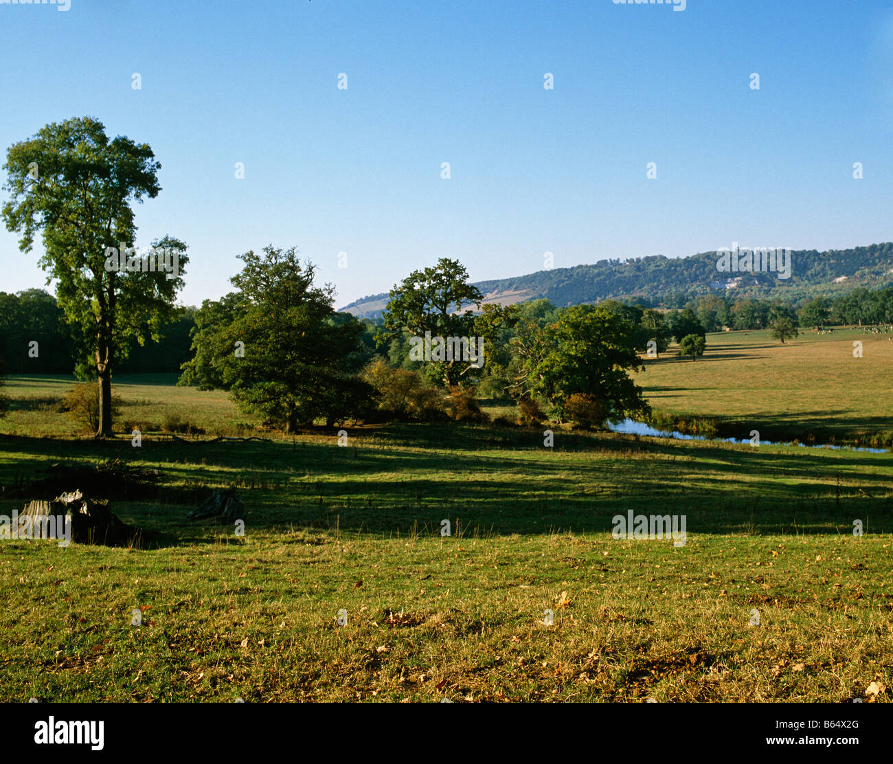 River Valley Surrey UK Europe Stock Photo - Alamy