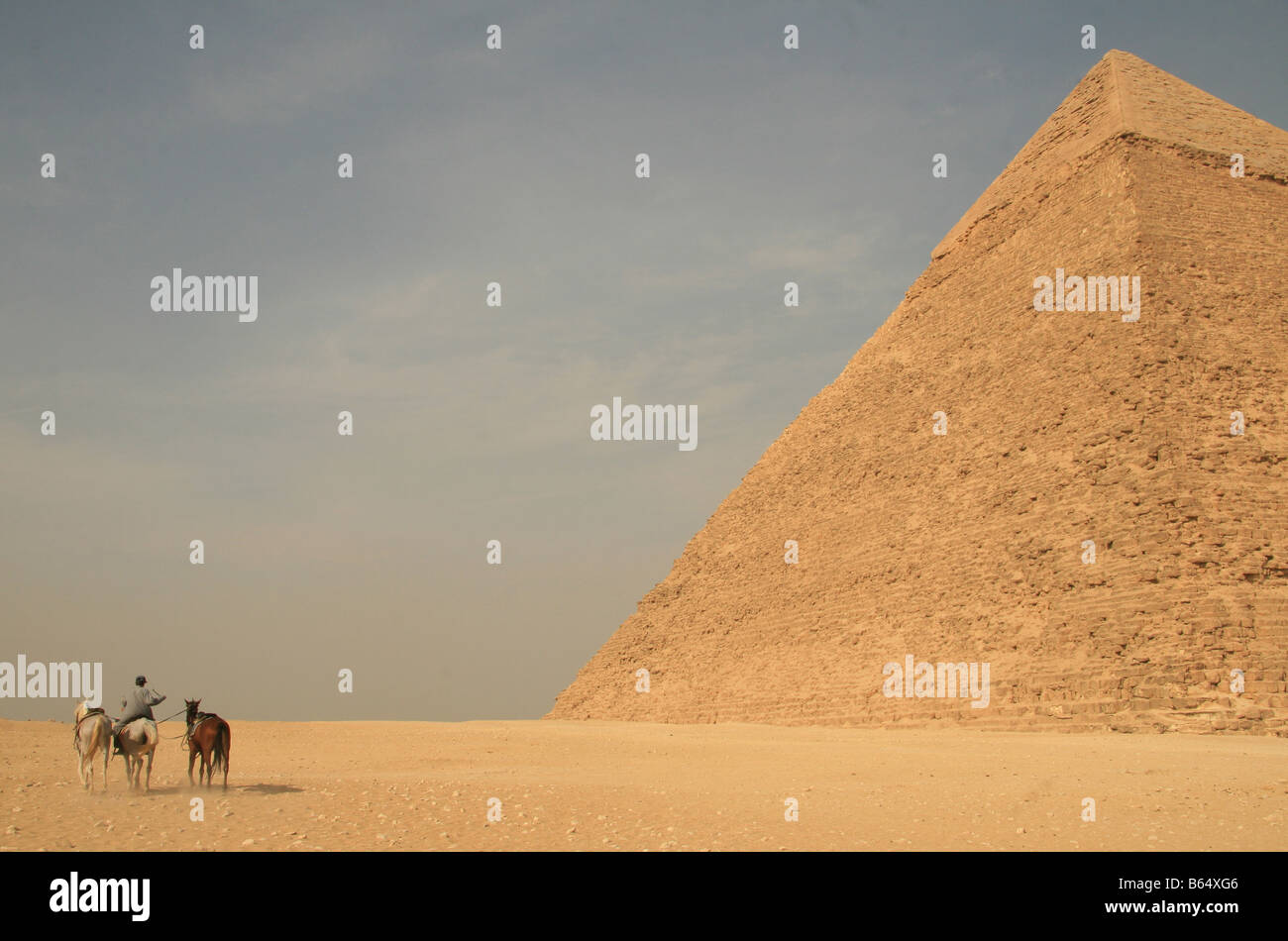 Local man leading horses past the great pyramid of Khafre, Giza, Egypt ...