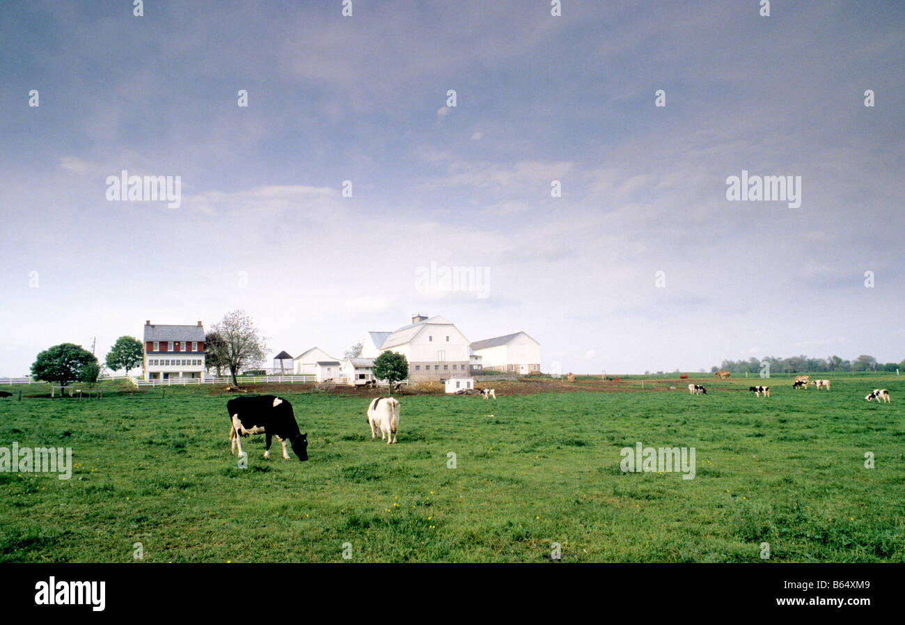 Amish farm in Pennsylvania Dutch (Deutsch) Country Stock Photo - Alamy