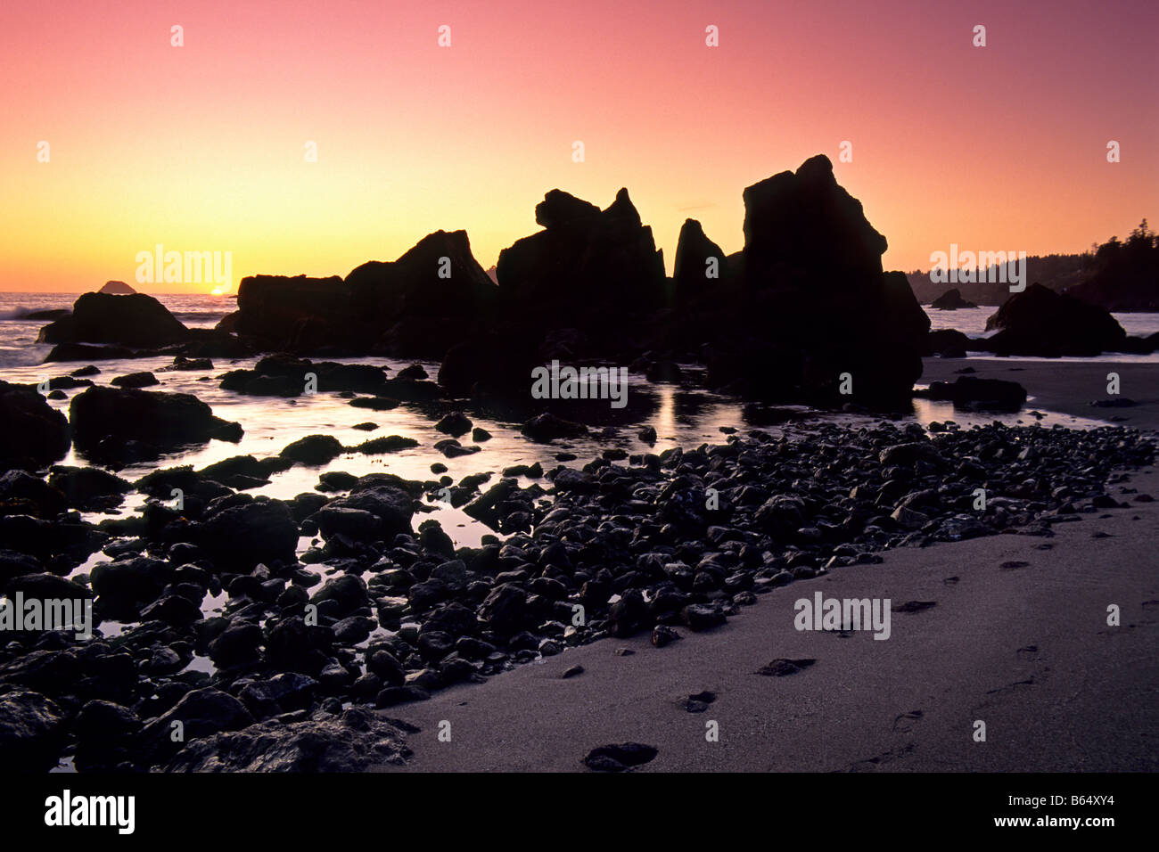Footprints in sand beach at sunset at Luffenholtz Beach near Trinidad ...