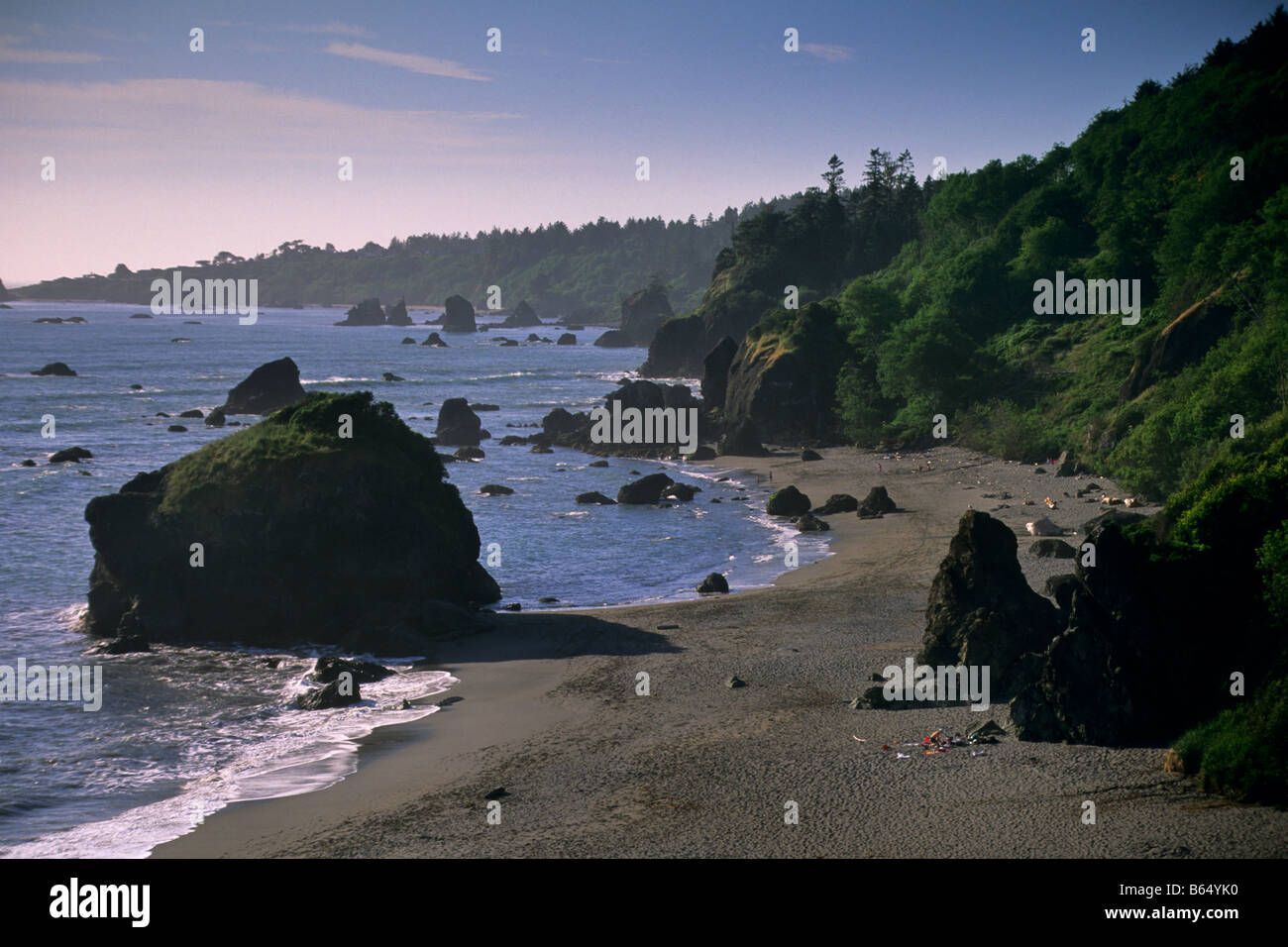 Luffenholtz Beach near Trinidad Humboldt County CALIFORNIA Stock Photo ...