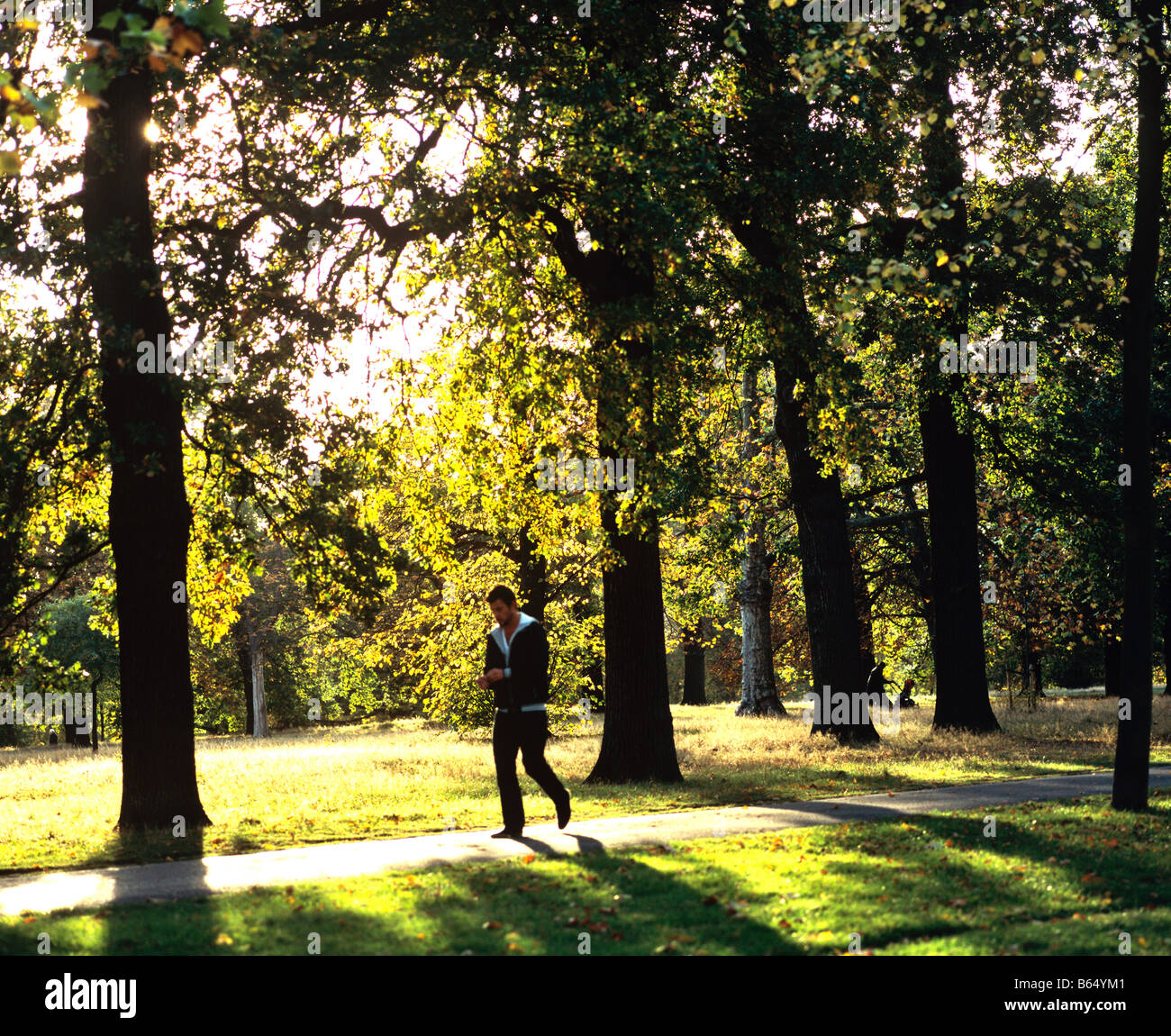 Man walking in park uk hi-res stock photography and images - Alamy