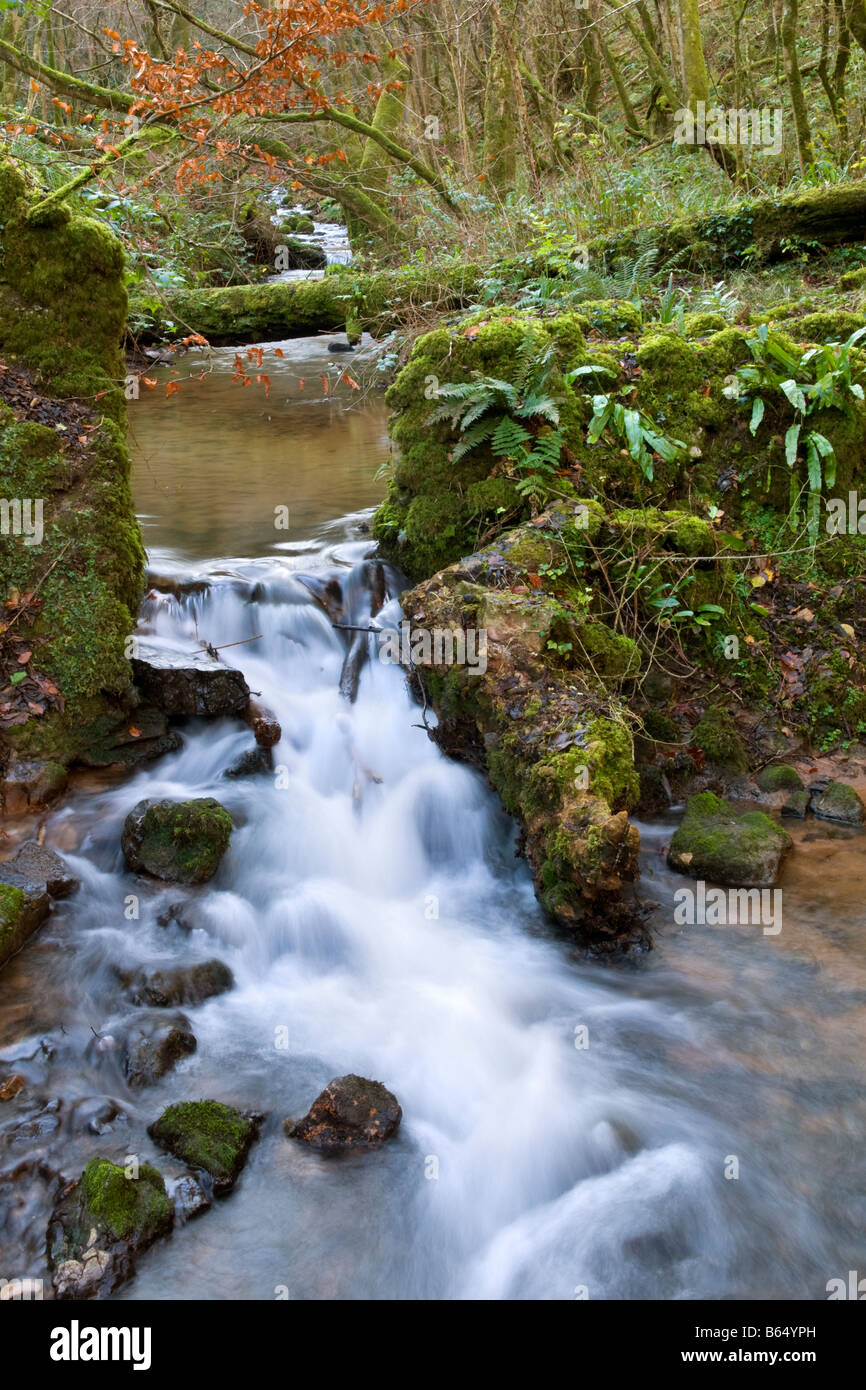 Water in stream photographed hi-res stock photography and images - Alamy