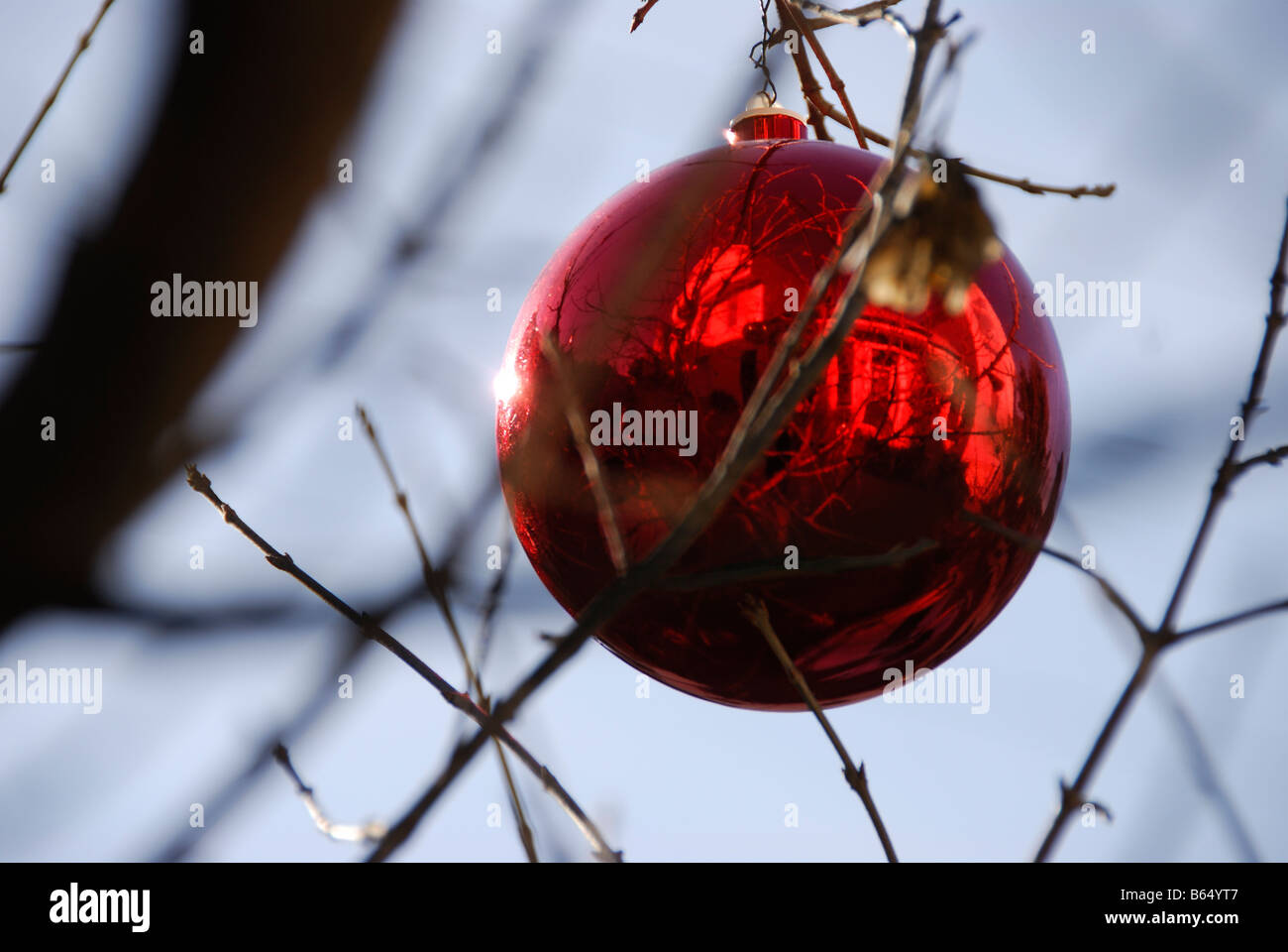 Bare tree decoration Stock Photo - Alamy