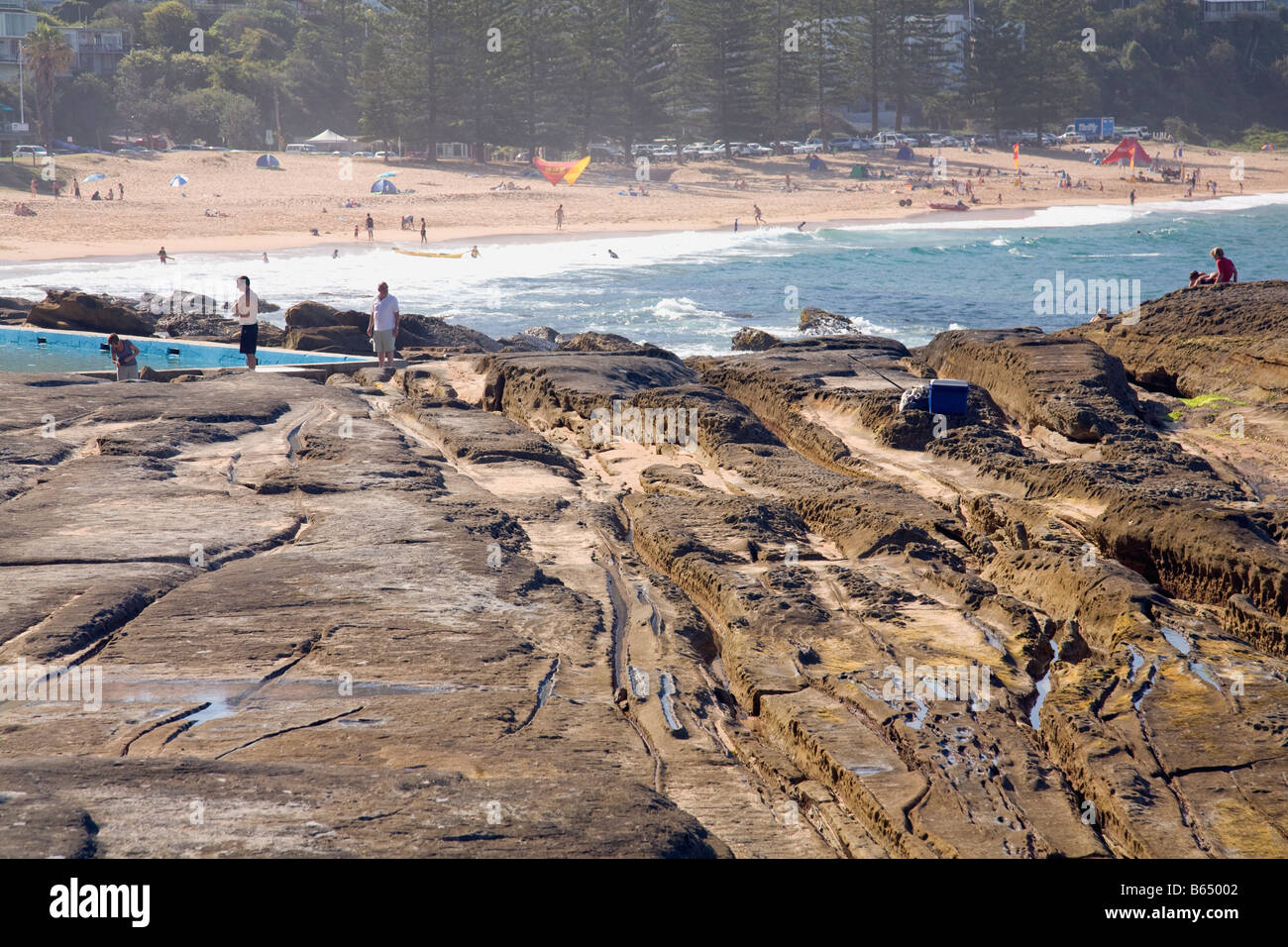 Whale Beach Sydney