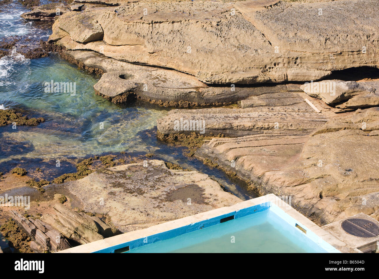 Whale beach ocean pool hi-res stock photography and images - Alamy