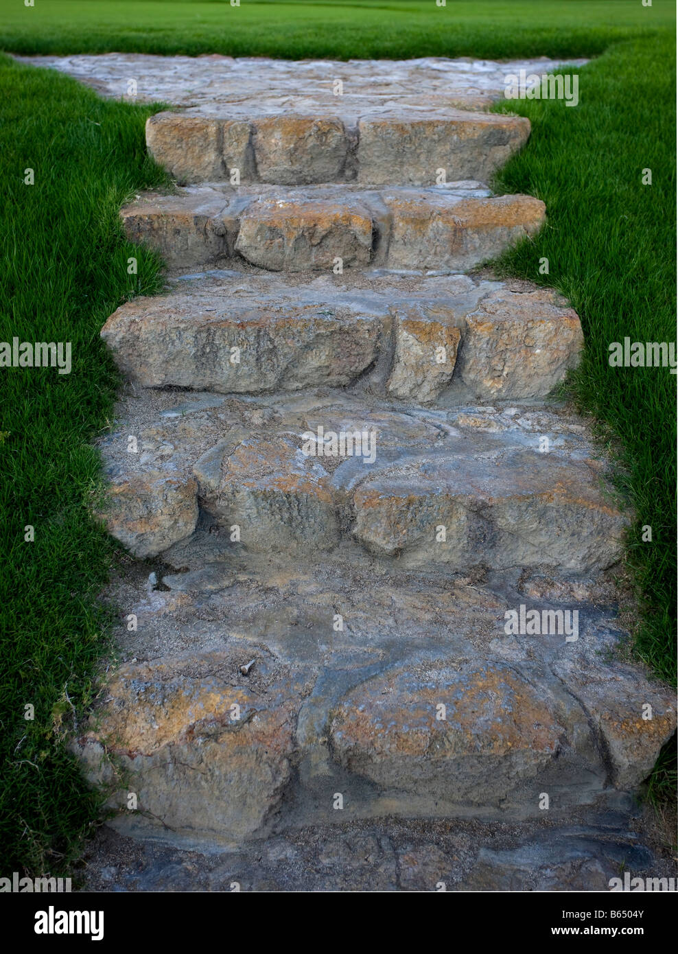 Step ascending Tee, Gary Player Signature Golf Course Stock Photo - Alamy