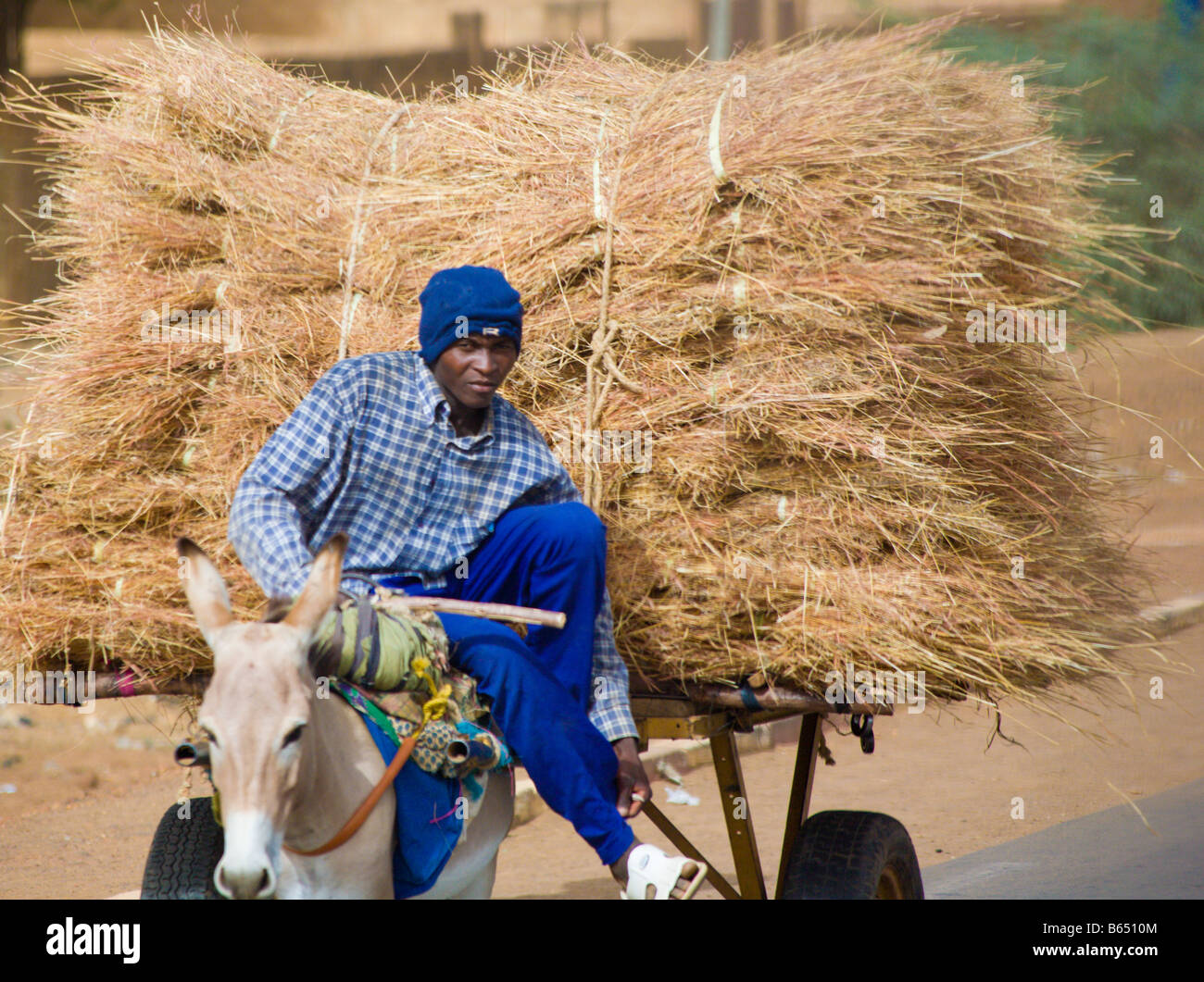 Donkey carrying hay hi-res stock photography and images - Alamy