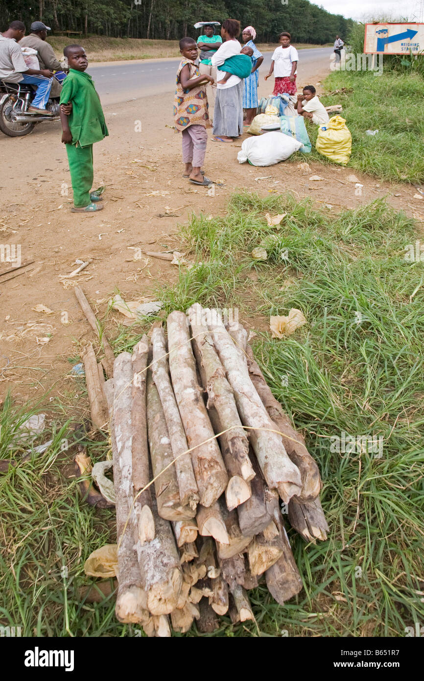 Rural bus stop Douala Cameroon Africa Stock Photo - Alamy