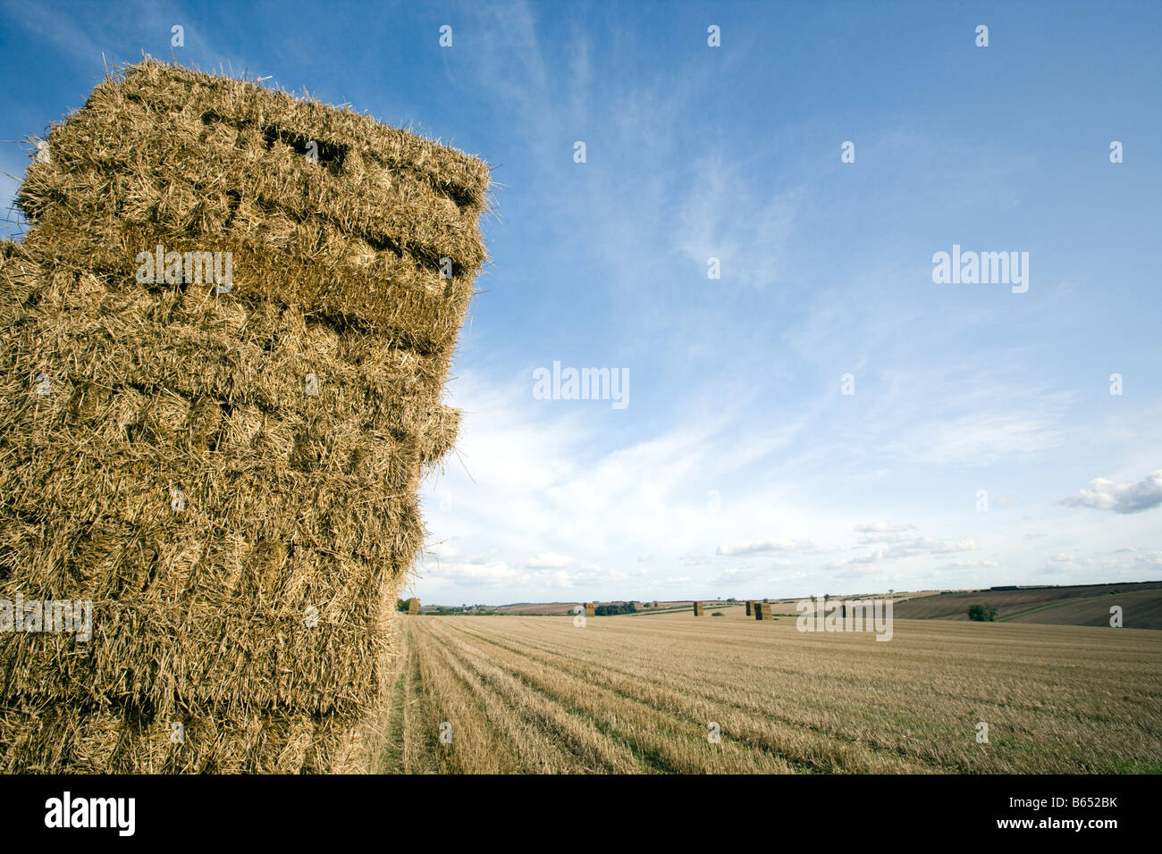 Oat Straw Bale