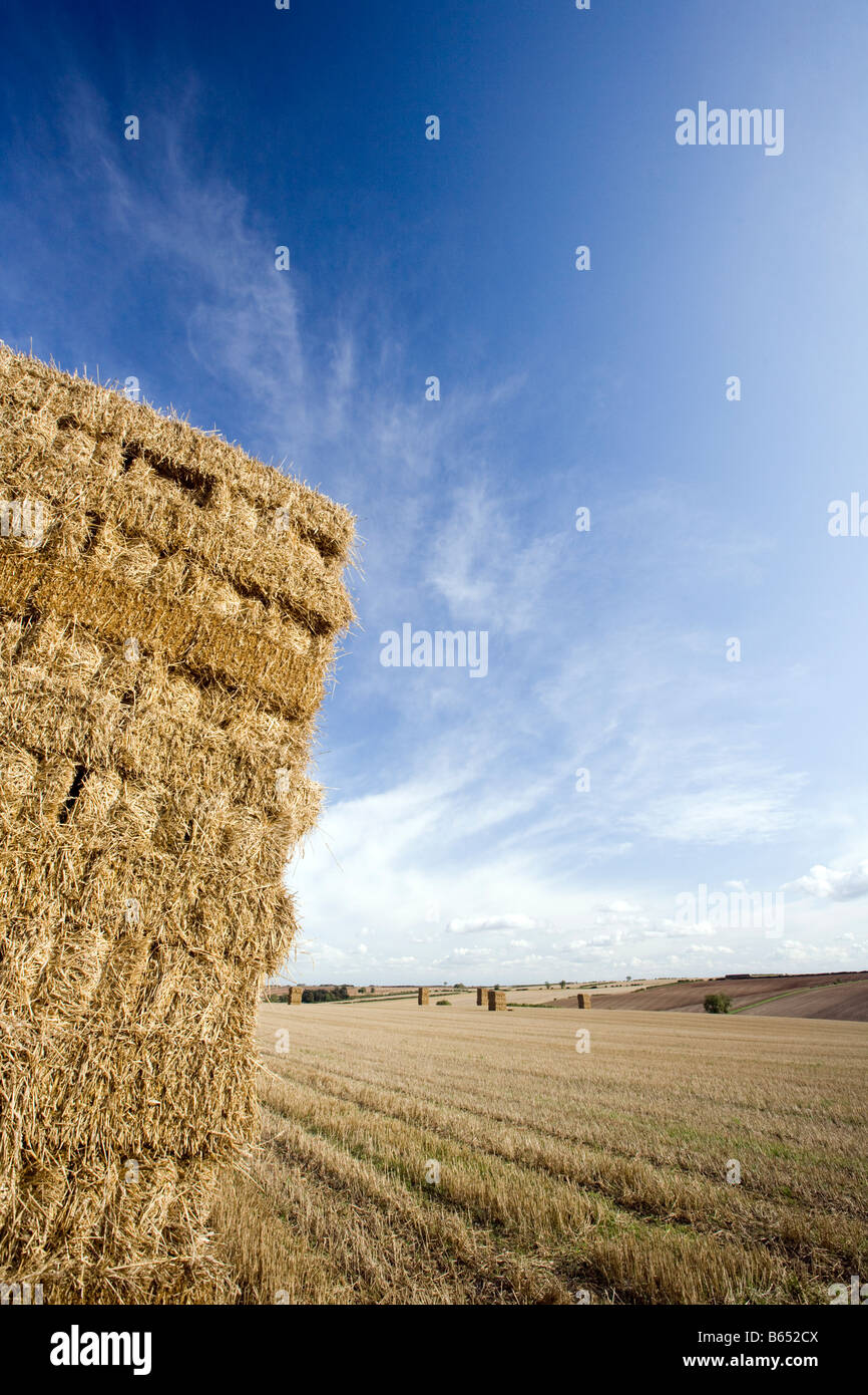 Oat straw hi-res stock photography and images - Alamy