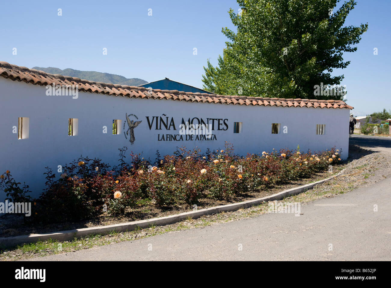Vina montes hi-res stock photography and images - Alamy
