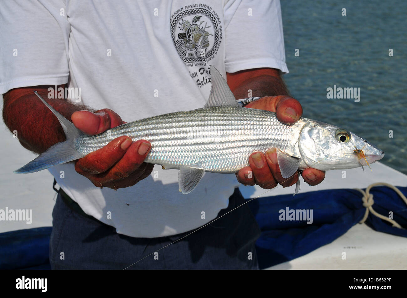 This bonefish taken on a small fly was carefully released back to the ...