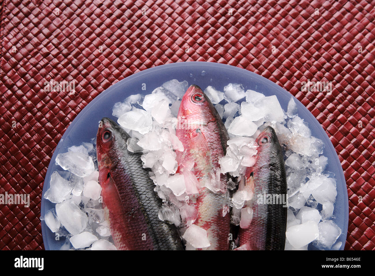 Fusilier fish hi-res stock photography and images - Alamy