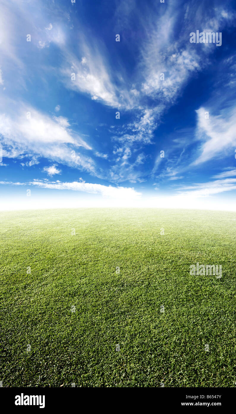 Beautiful colorful meadow photo with wide angle feel Stock Photo - Alamy