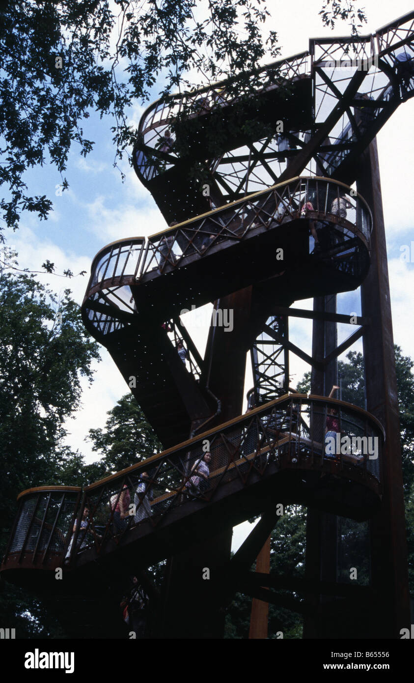Treetop walk uk hi-res stock photography and images - Alamy