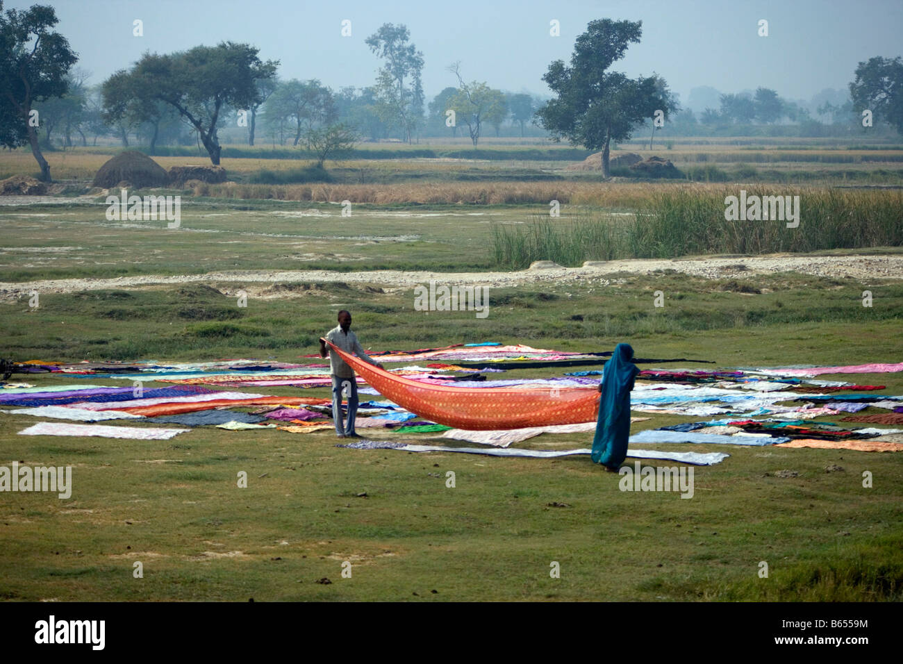 India, Lucknow, Uttar Pradesh, Countryside near Rae Bareli, Washing ...