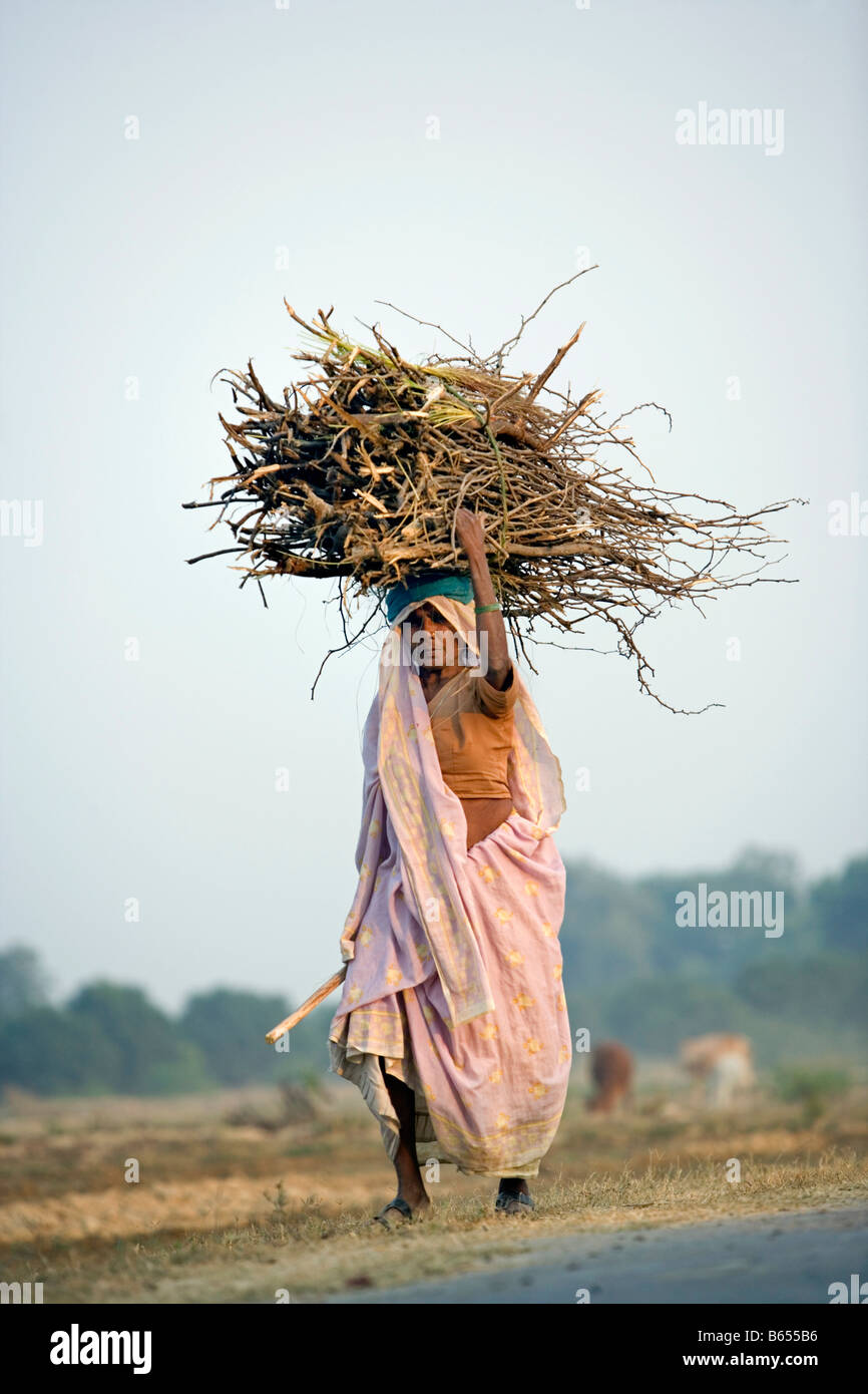 India, Lucknow, Uttar Pradesh, Countryside near Rae Bareli, Woman ...