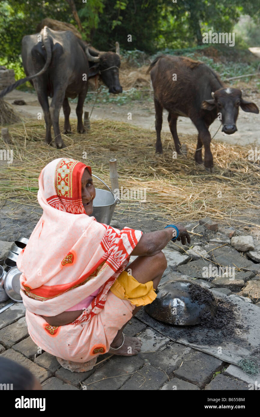 India, Lucknow, Uttar Pradesh, Countryside near Rae Bareli Stock Photo ...