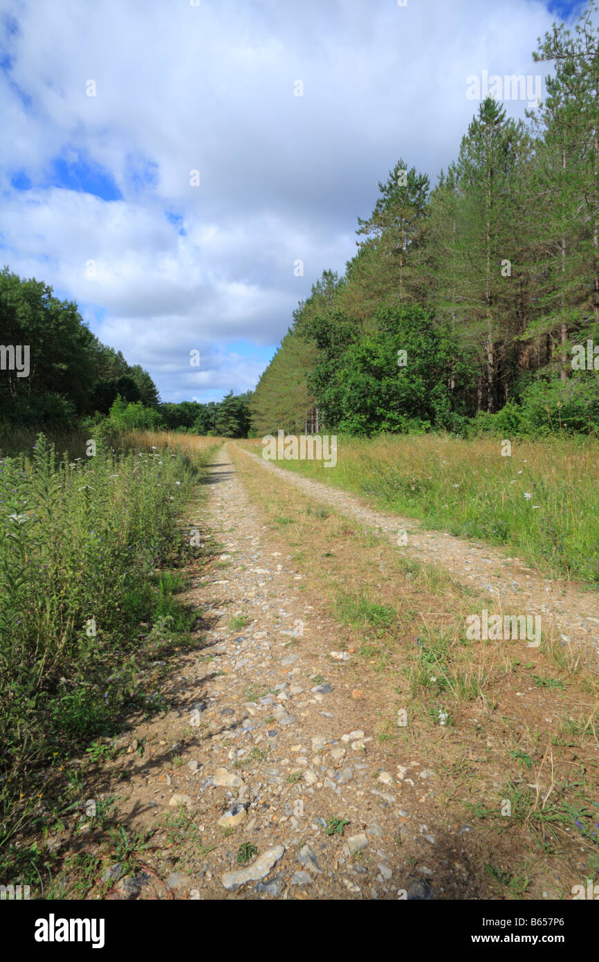 Breck hi-res stock photography and images - Alamy