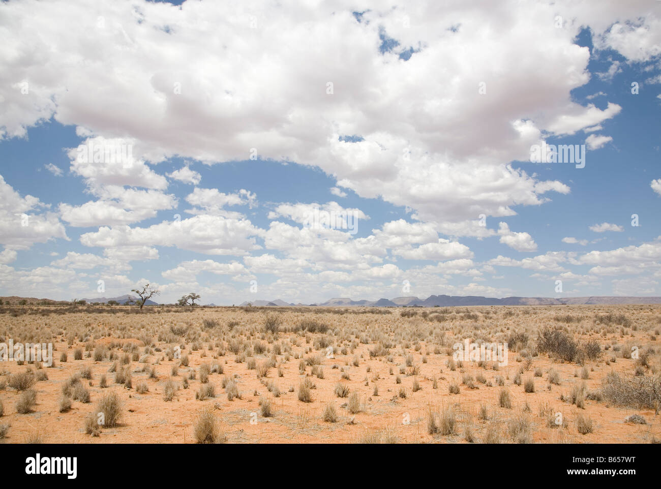 Namibian landscape hi-res stock photography and images - Alamy
