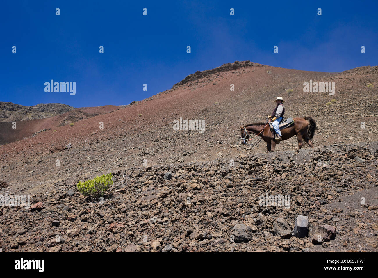 Lava stream horse hi-res stock photography and images - Alamy