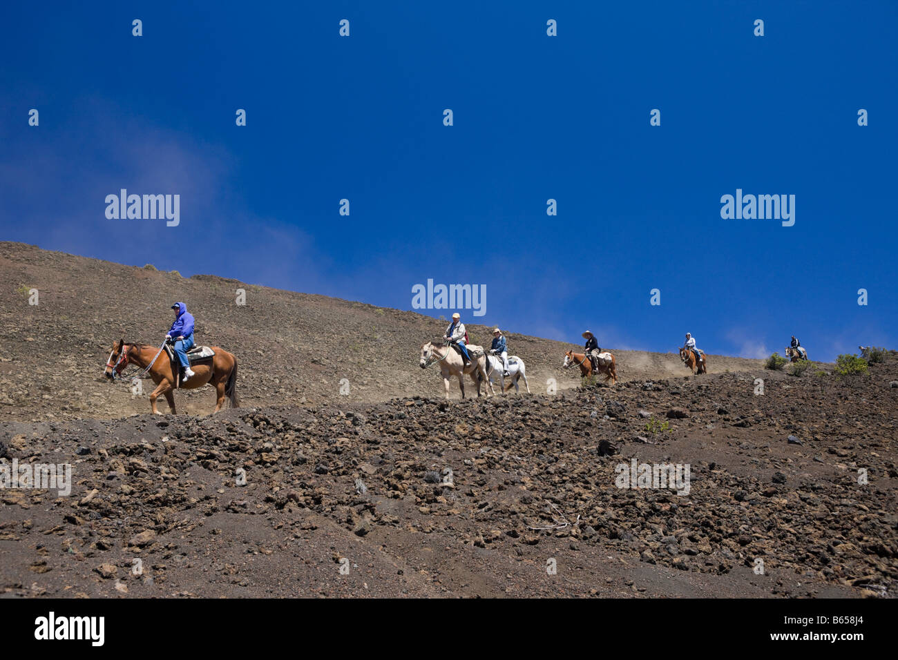 Horse Riding at Crater of Haleakala Volcano Maui Hawaii USA Stock Photo ...