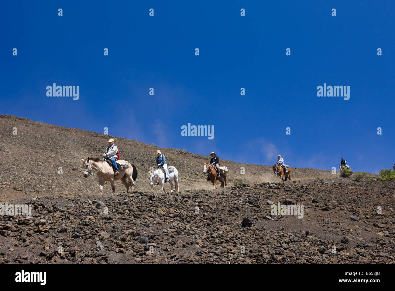 Horse Riding at Crater of Haleakala Volcano Maui Hawaii USA Stock Photo ...