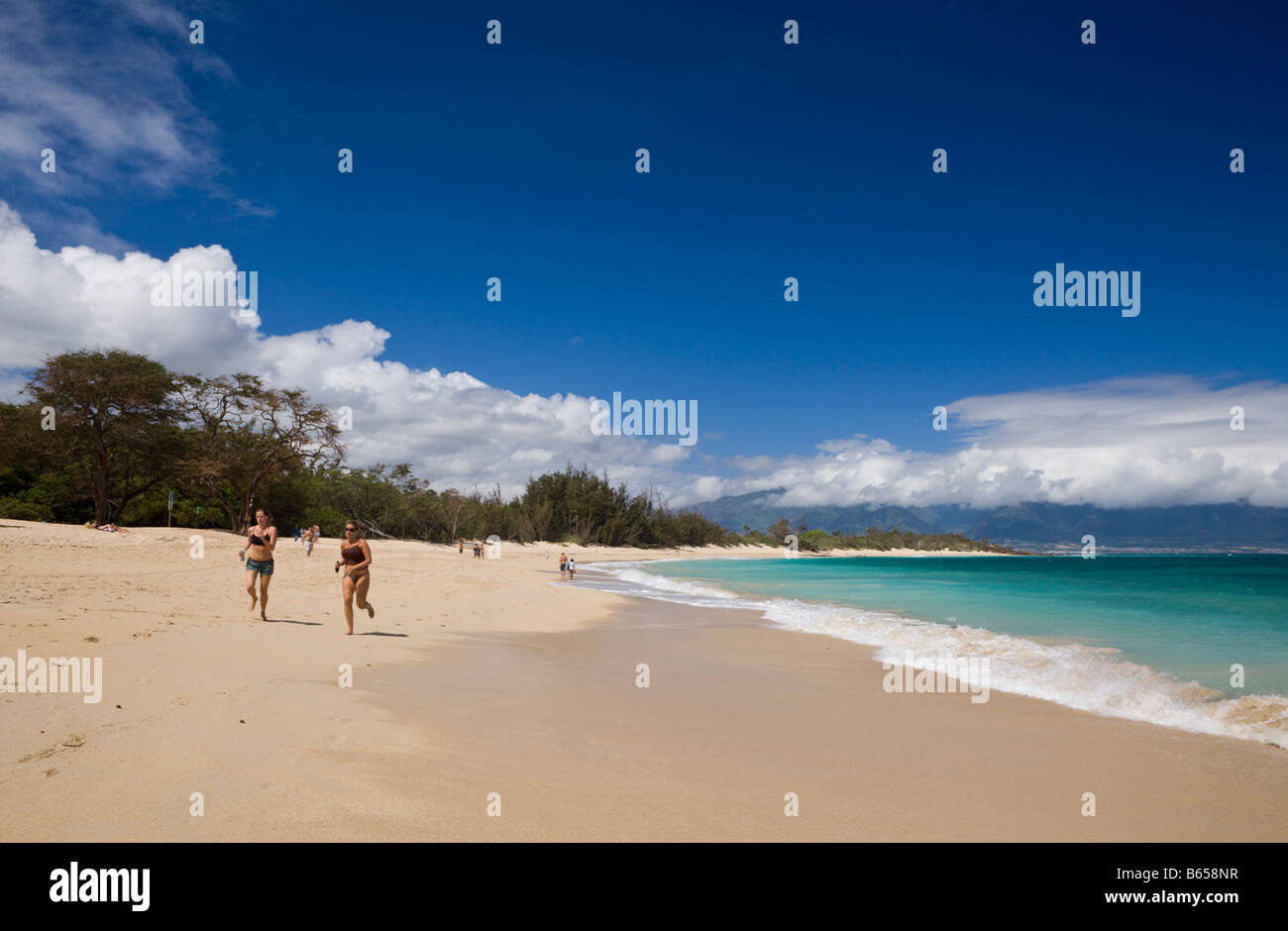 Beach of Kanaha Beach Park Maui Hawaii USA Stock Photo - Alamy