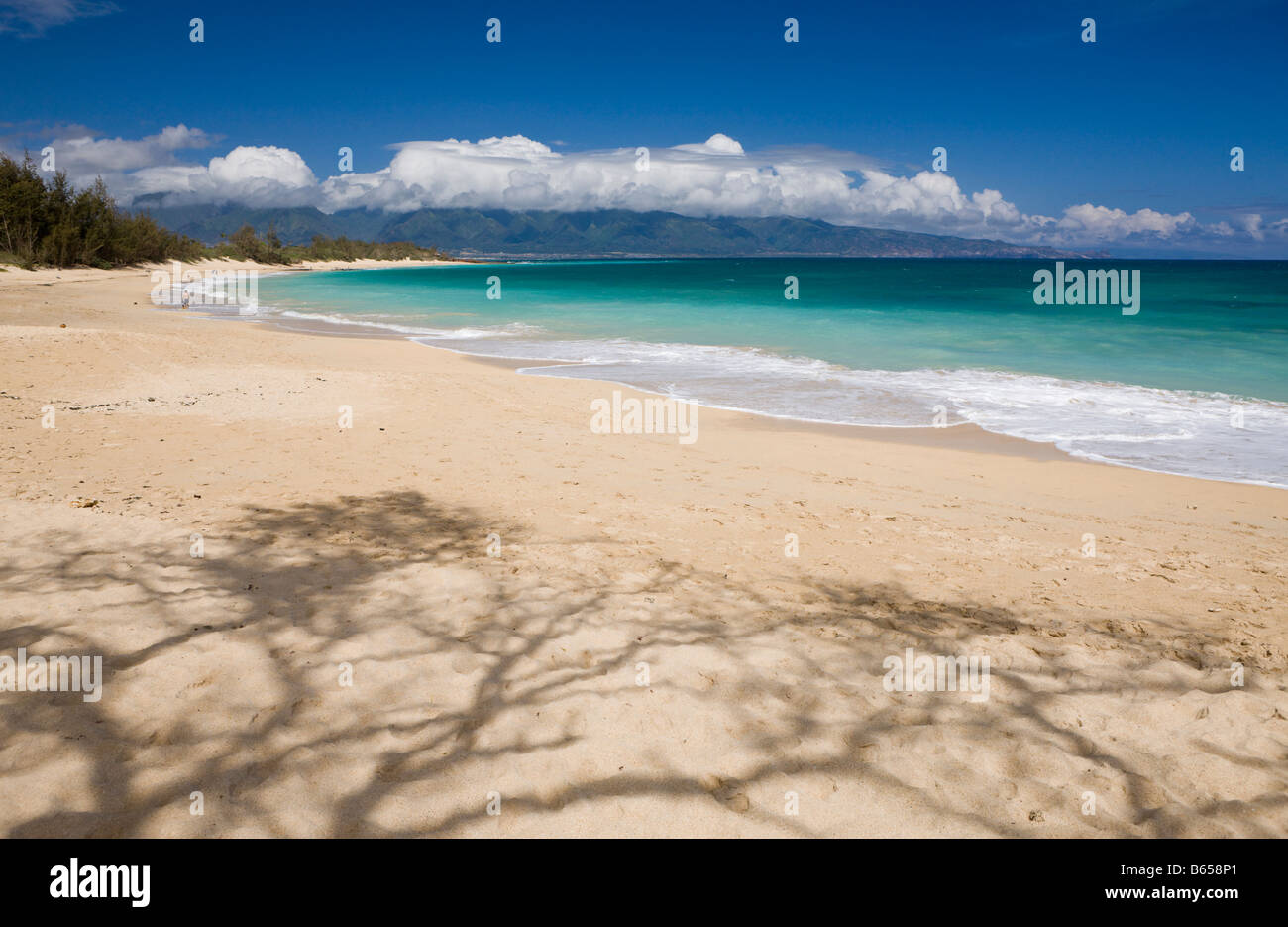 Beach of Kanaha Beach Park Maui Hawaii USA Stock Photo - Alamy