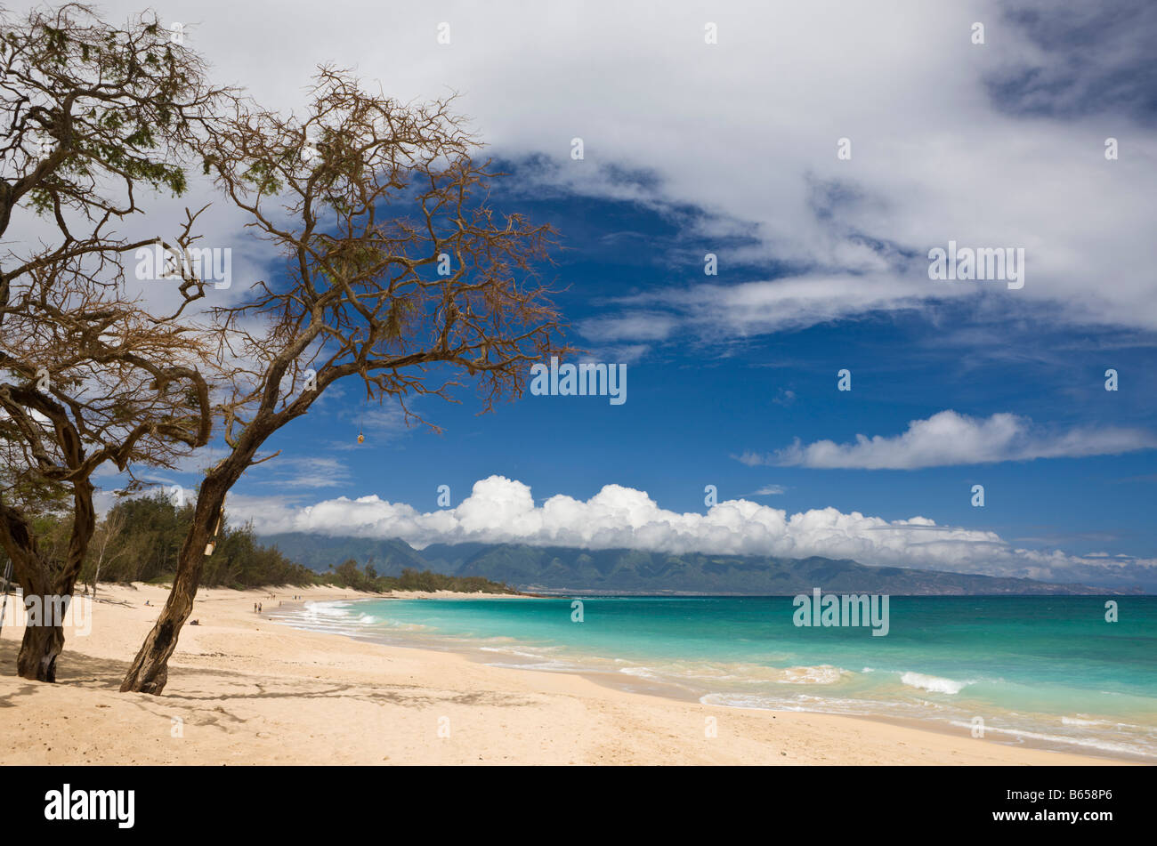 Beach of Kanaha Beach Park Maui Hawaii USA Stock Photo - Alamy