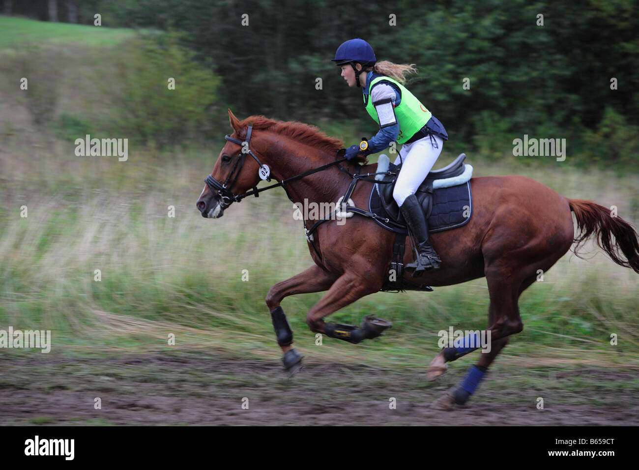 Horse rider at the start during a one day eventing competition Stock ...