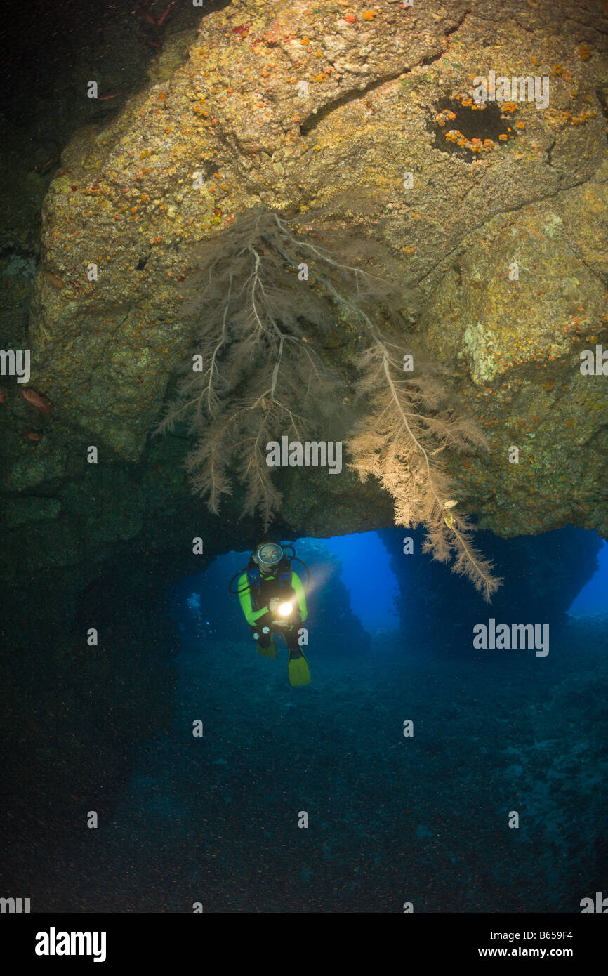 Underwater cave diving hawaii hi-res stock photography and images - Alamy