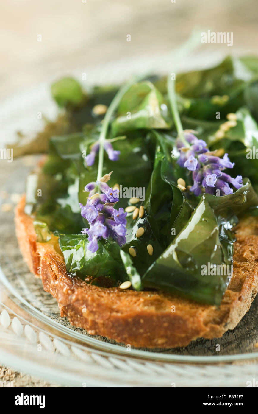 Lavender without flowers hi-res stock photography and images - Alamy