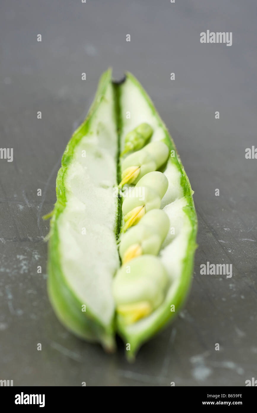 Bean seed cross section hi-res stock photography and images - Alamy