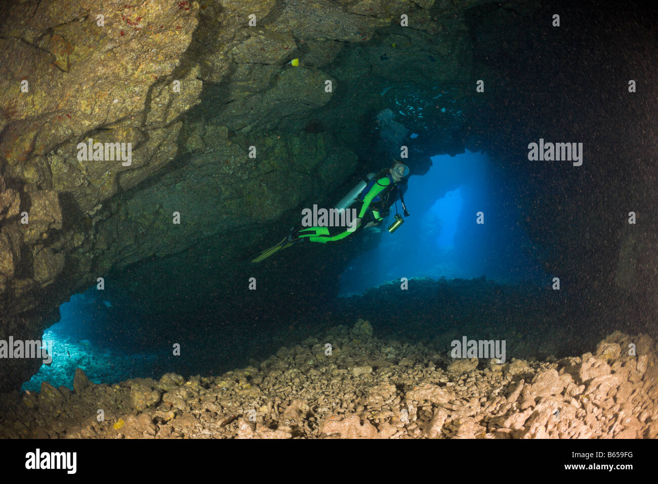 Diver at Caves of Lava Tubes Cathedrals of Lanai Maui Hawaii USA Stock ...