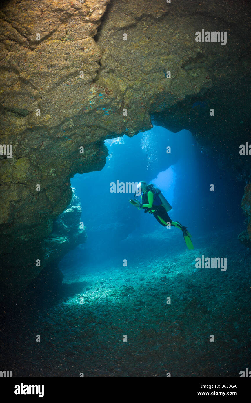 Diver at Caves of Lava Tubes Cathedrals of Lanai Maui Hawaii USA Stock ...