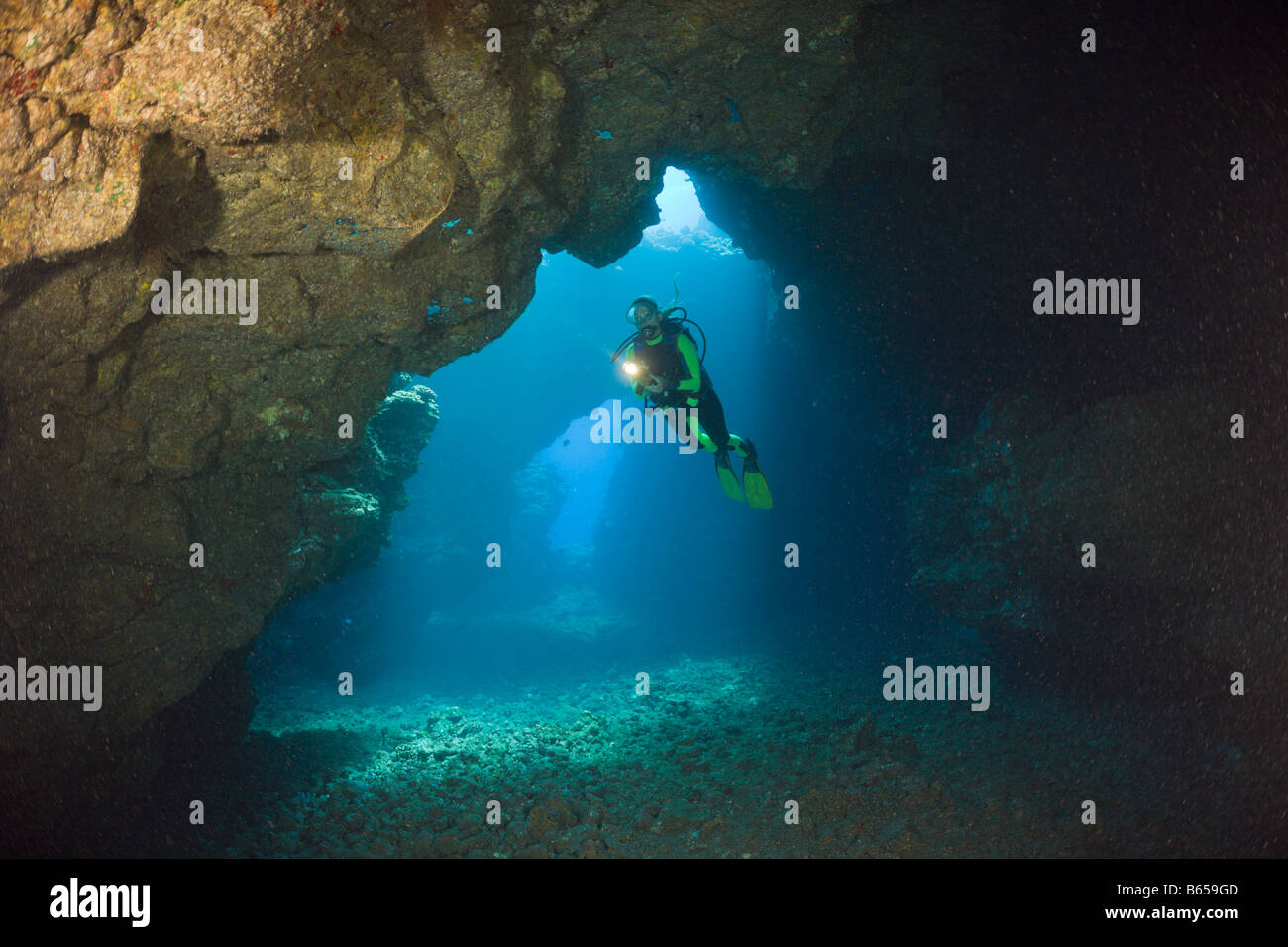 Diver at Caves of Lava Tubes Cathedrals of Lanai Maui Hawaii USA Stock ...