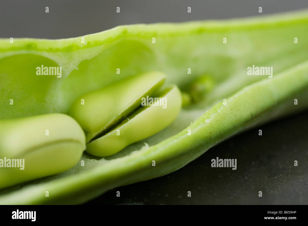 Cross sections of seed pods hi-res stock photography and images - Alamy