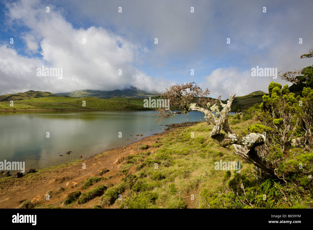 Caiado lake hi-res stock photography and images - Alamy