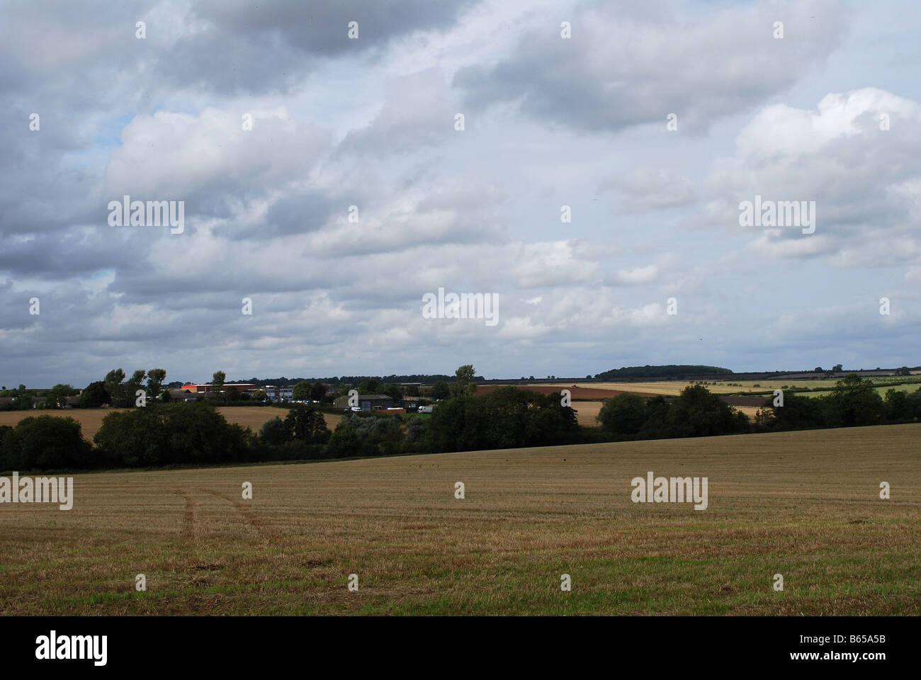 Hedge-lined harvested field Stock Photo - Alamy