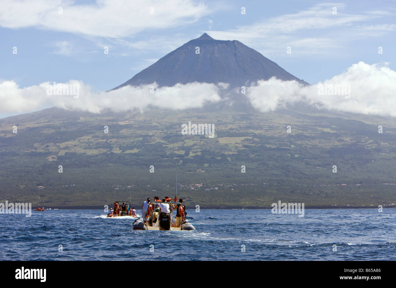 Tourists at Whale watching Tour Azores Atlantic Ocean Portugal Stock ...
